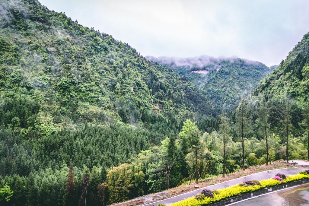 Simian Mountain: One of The Most Beautiful Forest Parks in China ...
