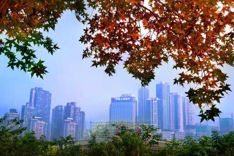 A Taste of Fall in Chongqing Jiangbei Town | ichongqing