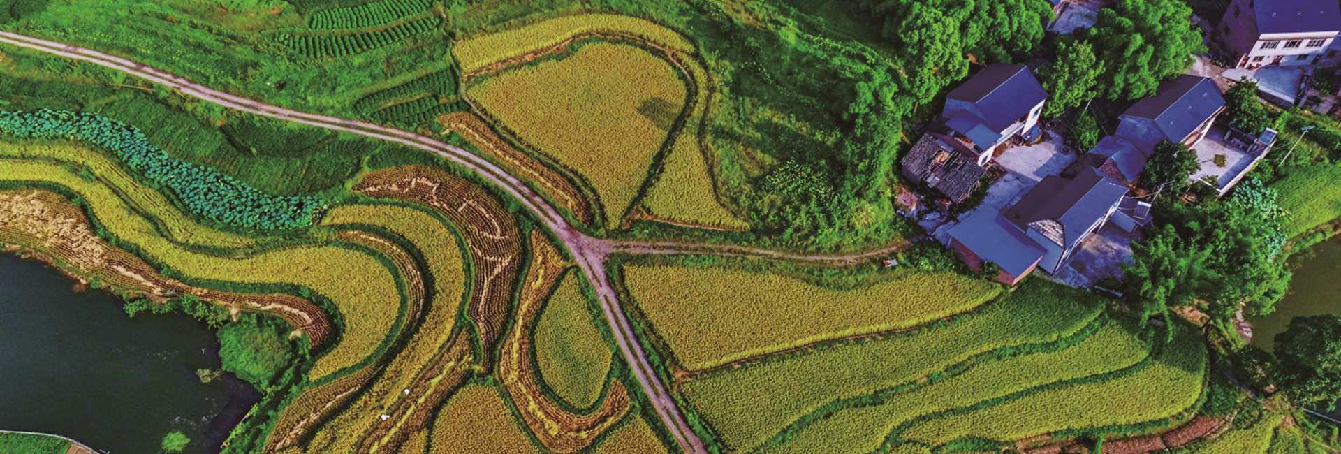 Chongqing Expects to Attract over 200 Million Tourists in Farm and ...