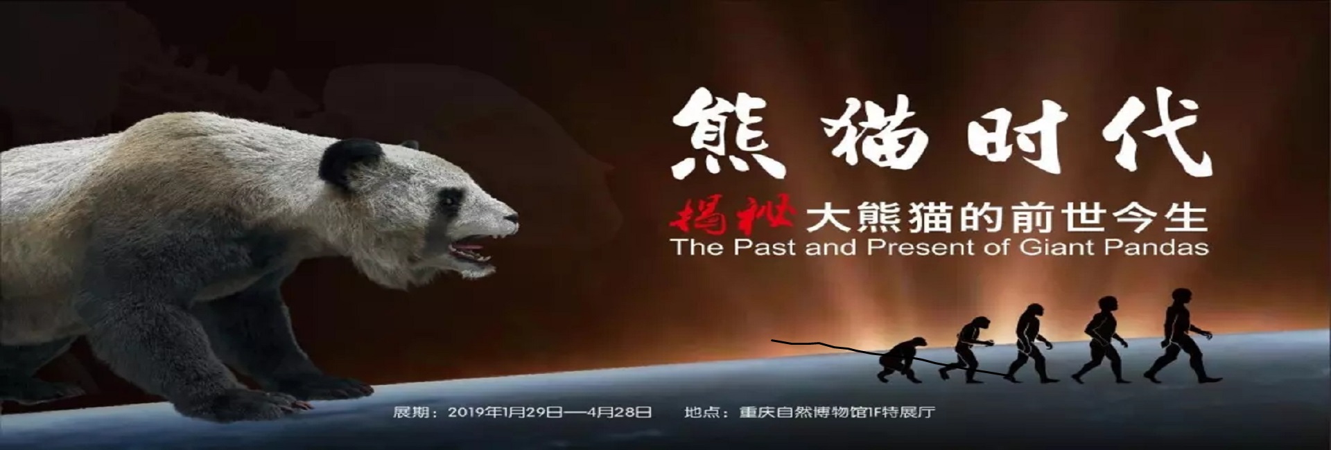 Exhibition: Age of Pandas - the Past and Present of Giant Pandas ...