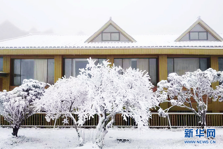 Chongqing Enjoys a Wonderland of Snow | ichongqing