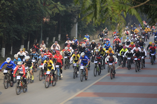 Here Comes Wintersweet Art Festival in Chongqing Beibei | ichongqing