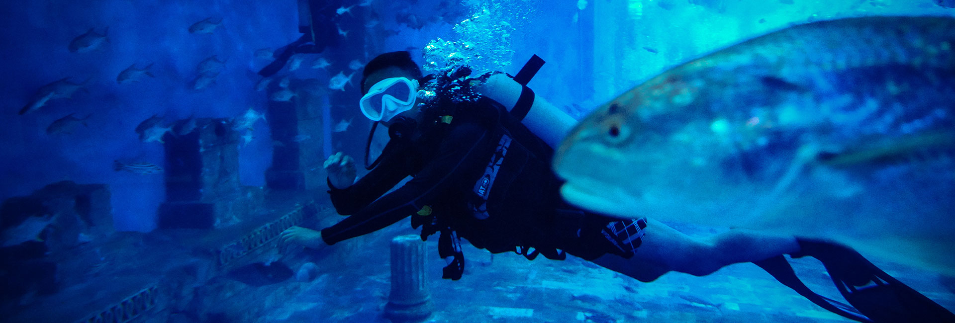 He Created the Deep-Sea Pool to Dive Underwater in the Southwest of ...