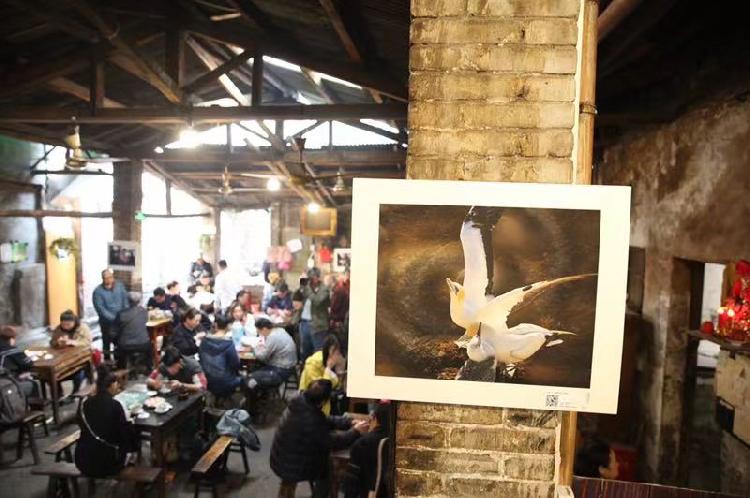 Enjoy Photography Exhibition as You Drink and Chat at Chongqing Local ...