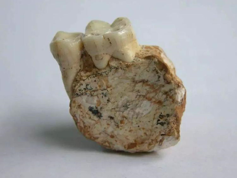 Summary of Chongqing Prehistoric Sites | ichongqing