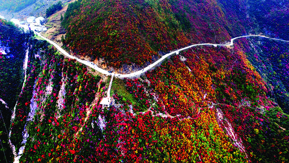Breathtaking Autumn in Chongqing | ichongqing