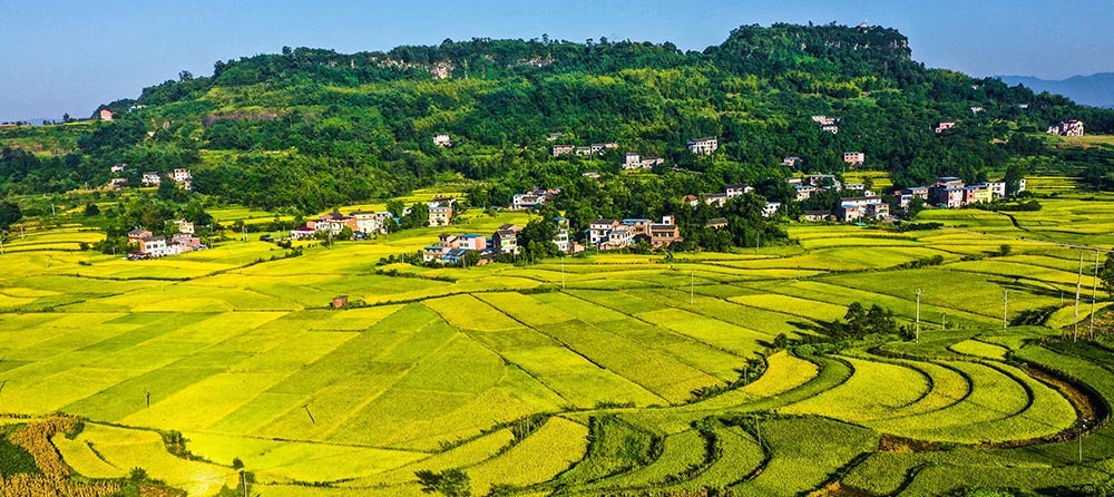 Breathtaking Autumn in Chongqing | ichongqing