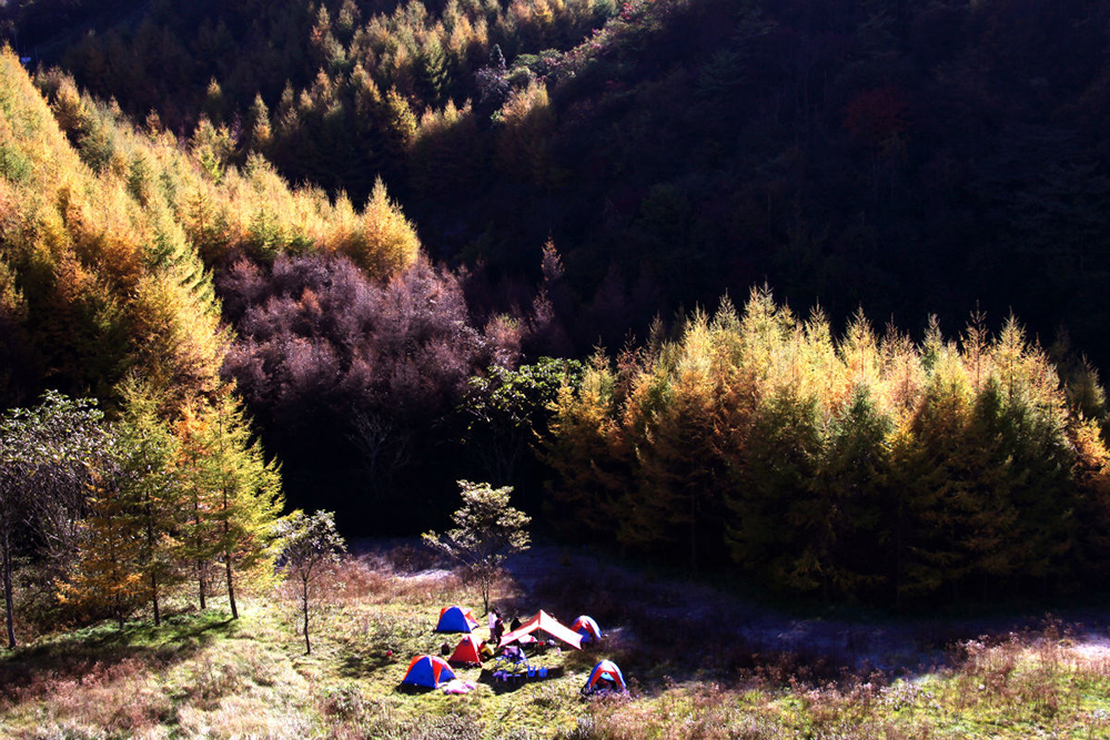 Beautiful Autumn Scenery Awaits You in Chongqing | ichongqing