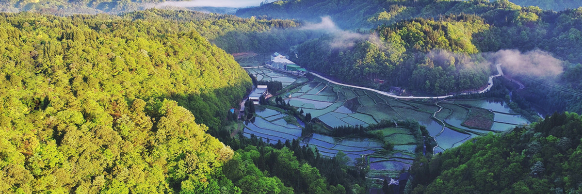 Scenic Spots | ichongqing