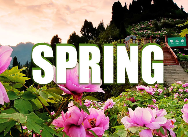 Spring-2019 | ichongqing