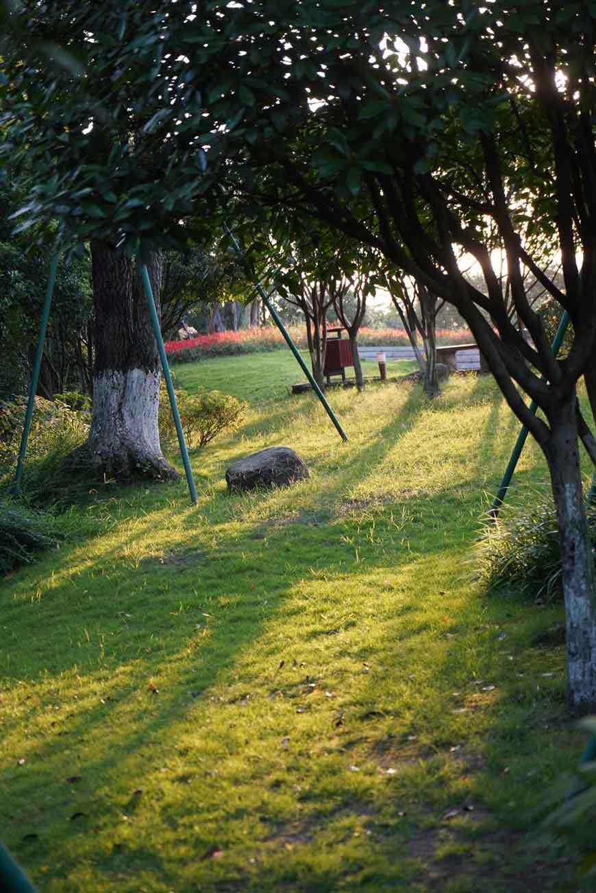 Travel Tips in Hong'en Temple Forest Park | ichongqing