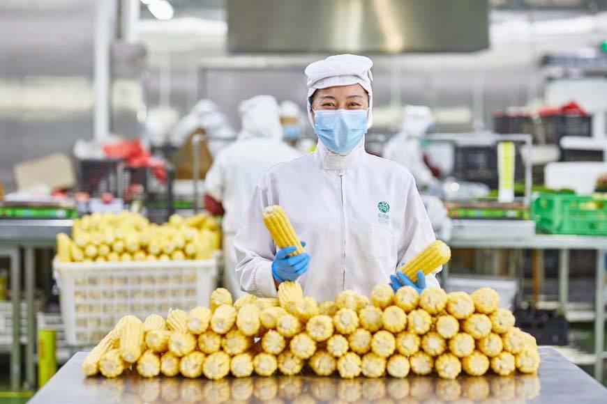 Chongqing Accelerates Smart City Construction | ichongqing