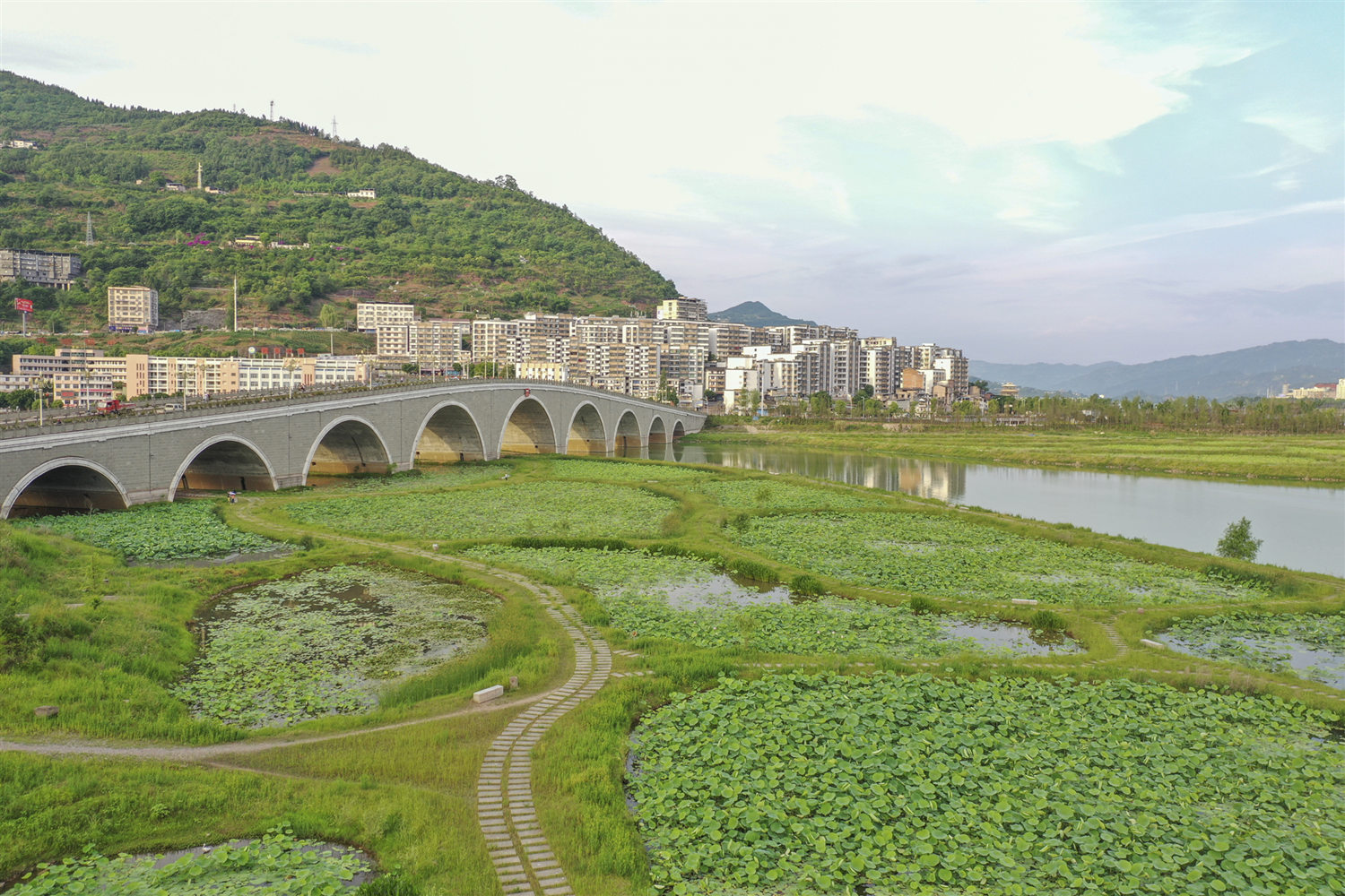 Chongqing's Ecological Environment Changes in 2019 | ichongqing