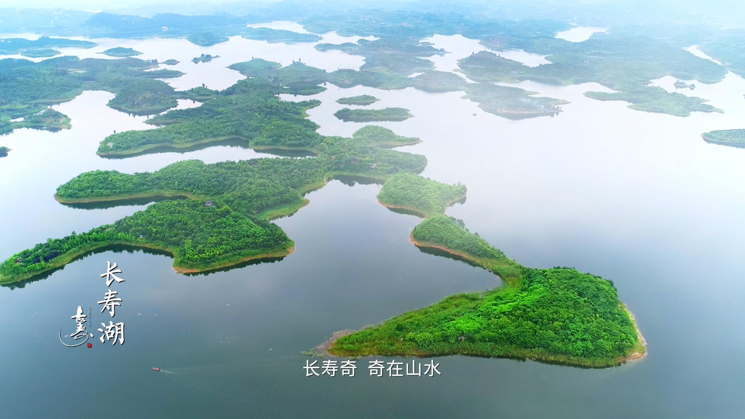 Changshou's Delicacies to Attract Lots of Audiences in the Live Stream ...