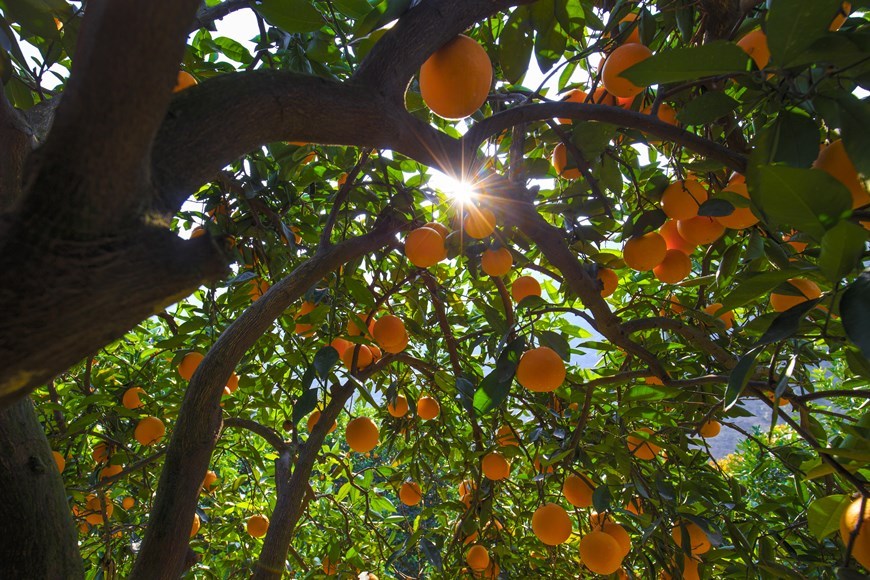 Fengjie Showcase: A Place with Breathtaking Landscapes and Poetic ...