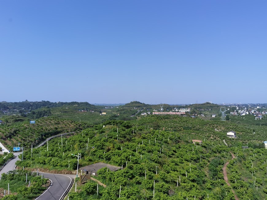 "Along China's Expressways" to Witness the Booming Economy of Xinli ...