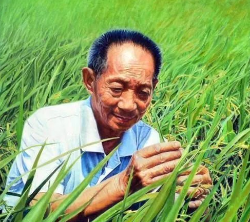 Yuan Longping 521 Yuan Longping Photos & High Res Pictures Getty