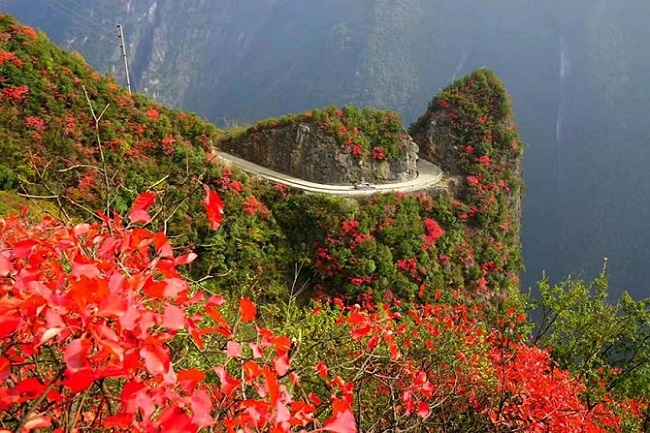 How to Restore 120,000 hectares of Rocky Desertification Areas in 4 ...