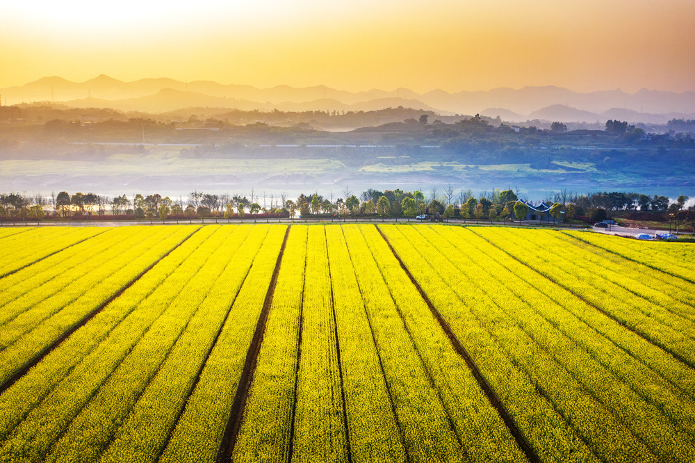 Blueprints for Guangyang Bay Eco-City Reveal World Base for Ecological ...