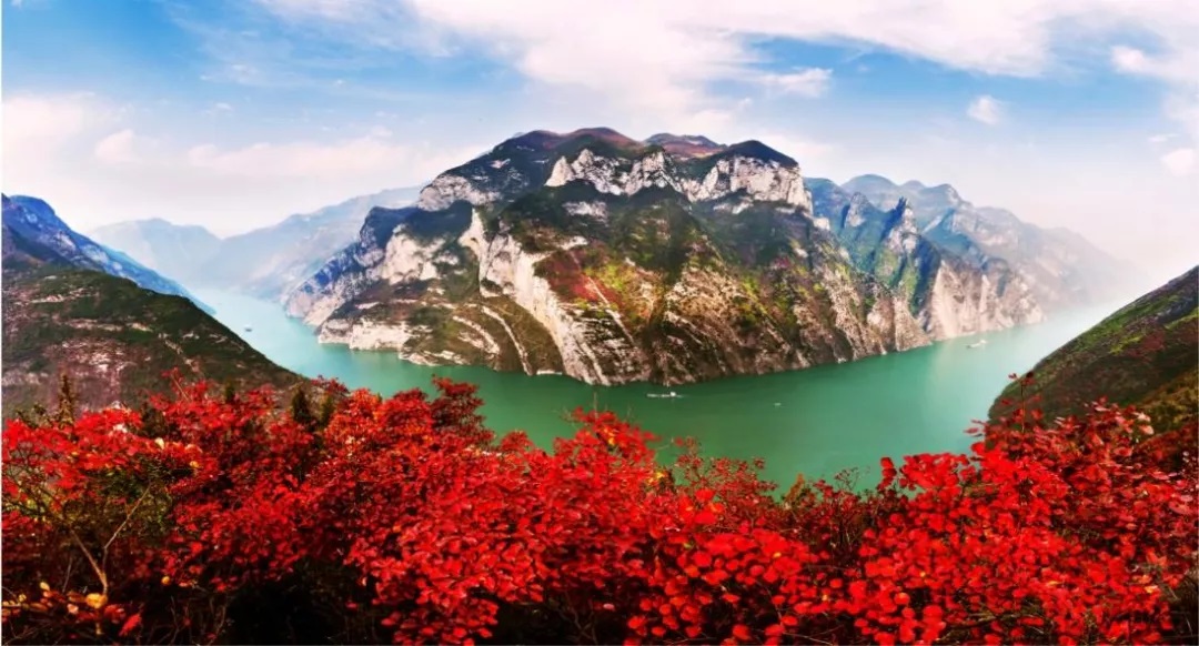 Come to View the Red Leaf in Wushan County, the Three Gorges Hinterland ...