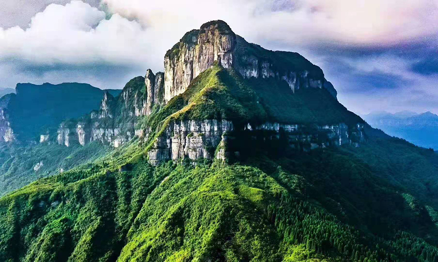 Experience the Beauty of Wild Animals in Chongqing | ichongqing
