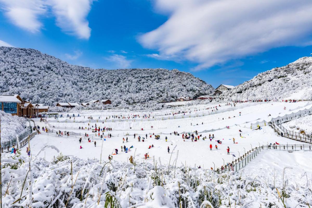 Winter Sports Tourism Flourishing in Rarely Snowy SW China Chongqing ...