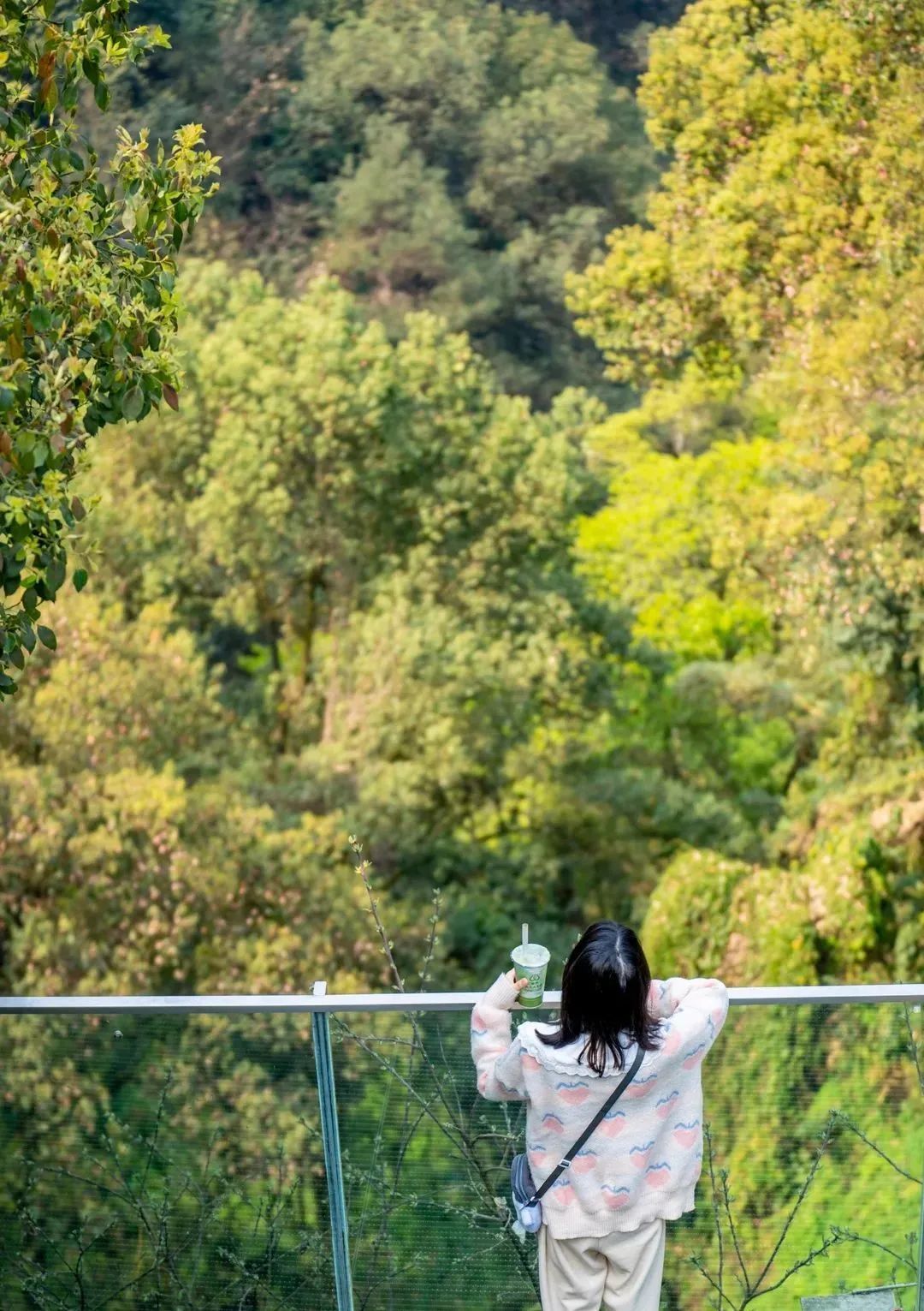 Spring Records of Chongqing Old Street in a Mountain | ichongqing