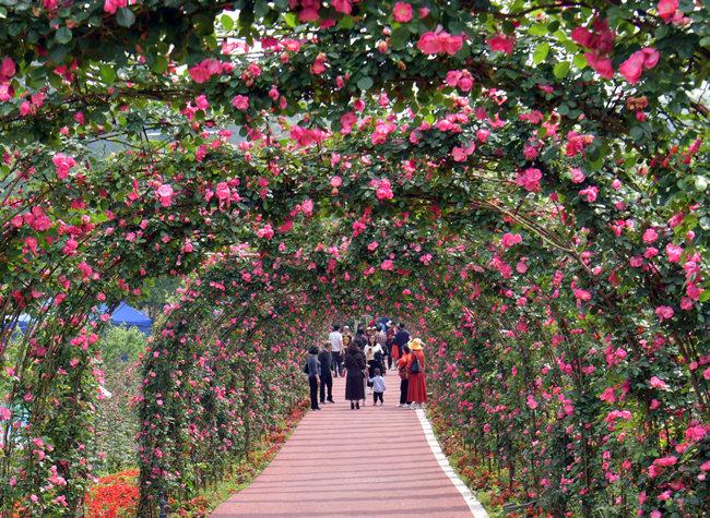 Visual Chongqing | Flower Corridor | ichongqing