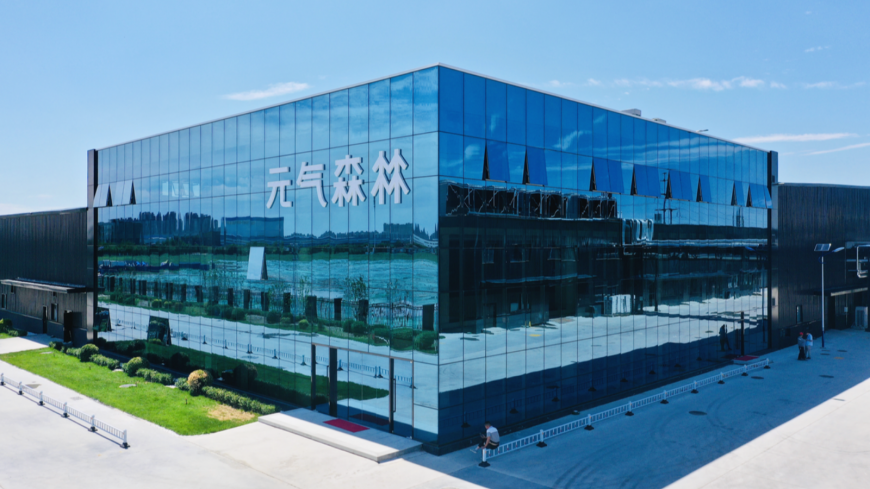 The Story of Genki Forest's Sweet Success | ichongqing