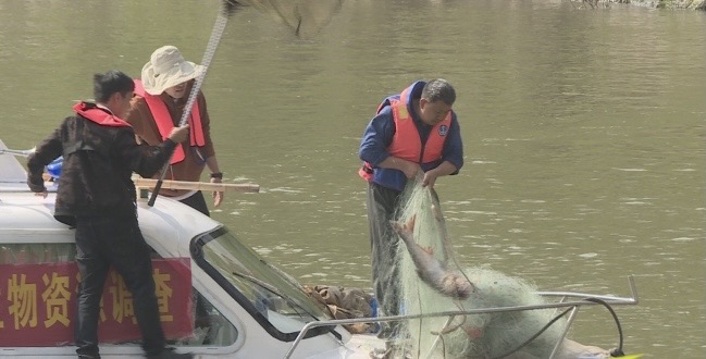 Yangtze River Fishing