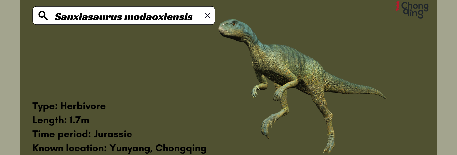 Chongqing: The City on the Back of Dinosaurs | ichongqing