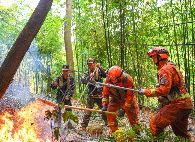 On-the-spot Report : the Post-fire Cleanup of Chongqing Beibei Jinyun ...