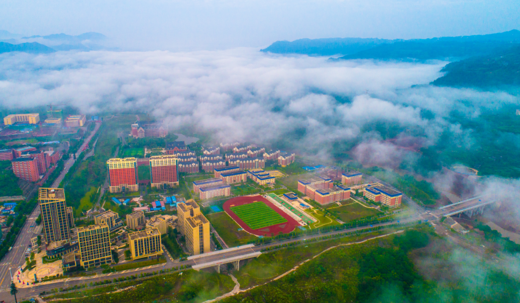 Chongqing's First Sino-foreign Higher Vocational Institution Unveiled ...