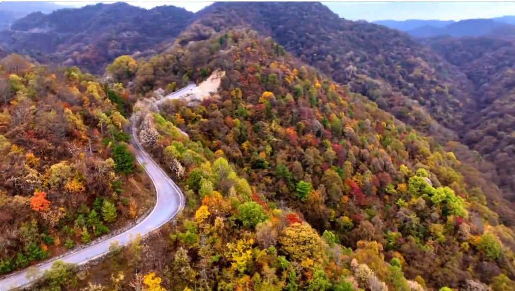 Beautiful Autumn Scenery Awaits You in Chongqing | ichongqing