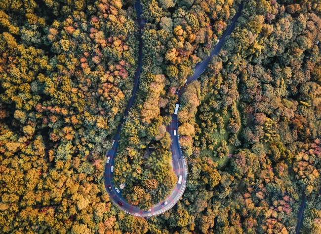 Visual Chongqing | Autumn scenery in Nanshan | ichongqing