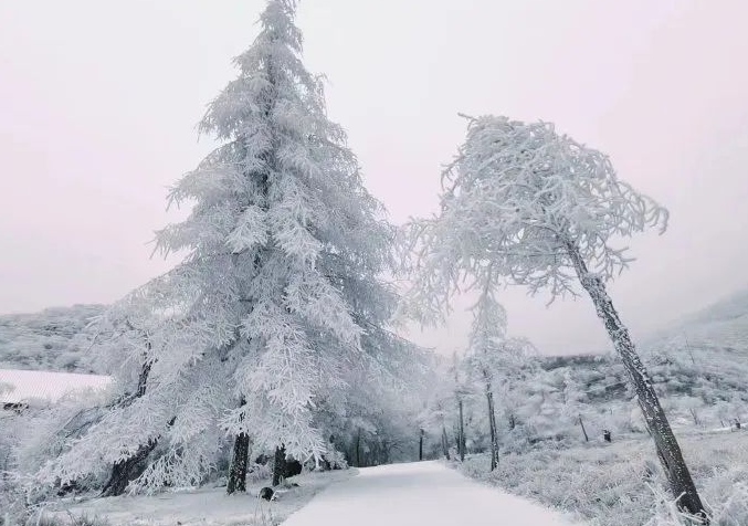 Let's Go! To Enjoy an Energetic and Joyful Winter in Chongqing | ichongqing