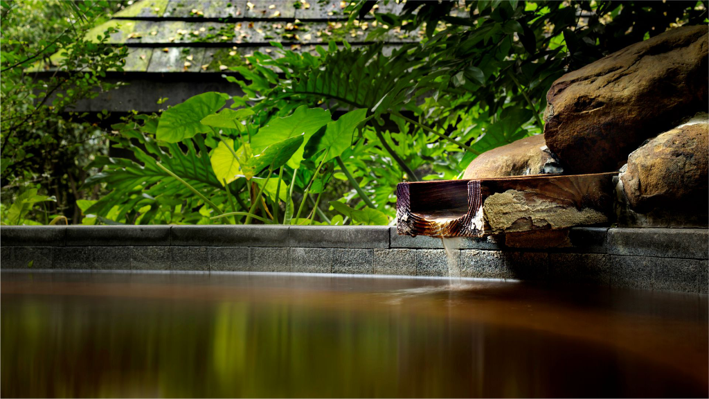 Chongqing Strives to Develop the World's Hot Spring Capital | ichongqing