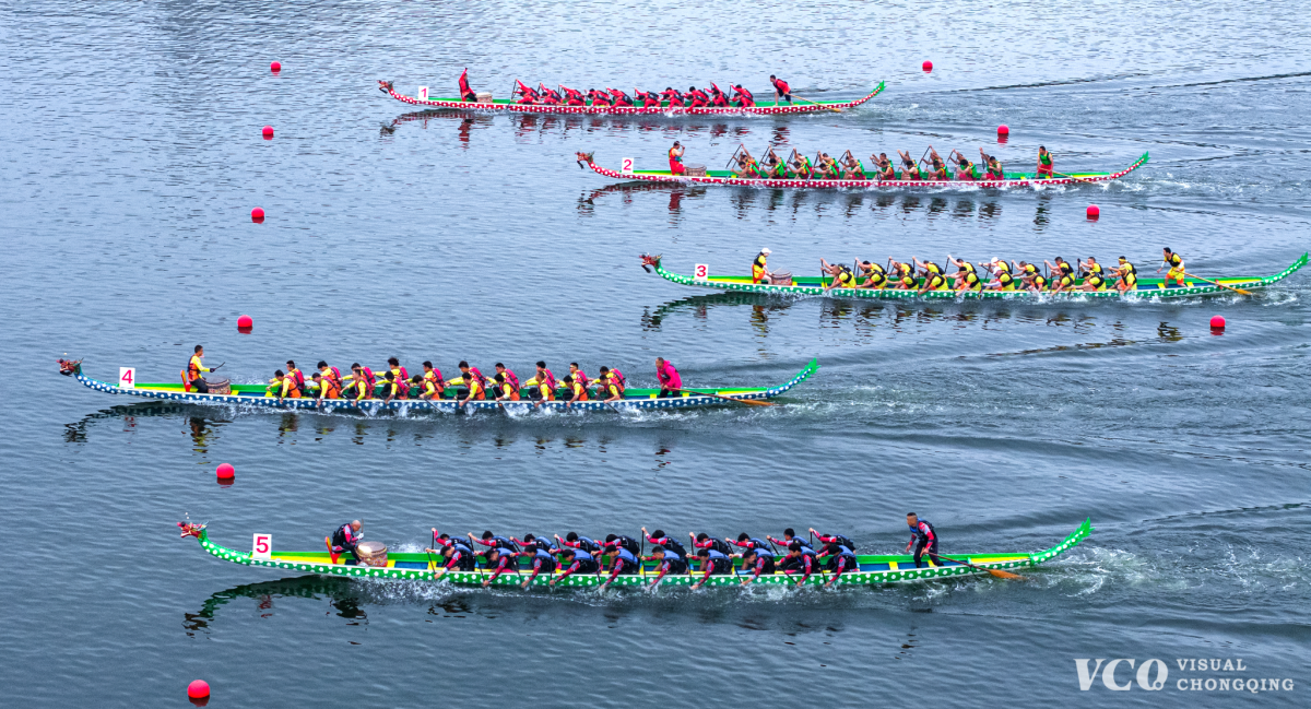 Visual Chongqing | Dragon Boat Competition | ichongqing